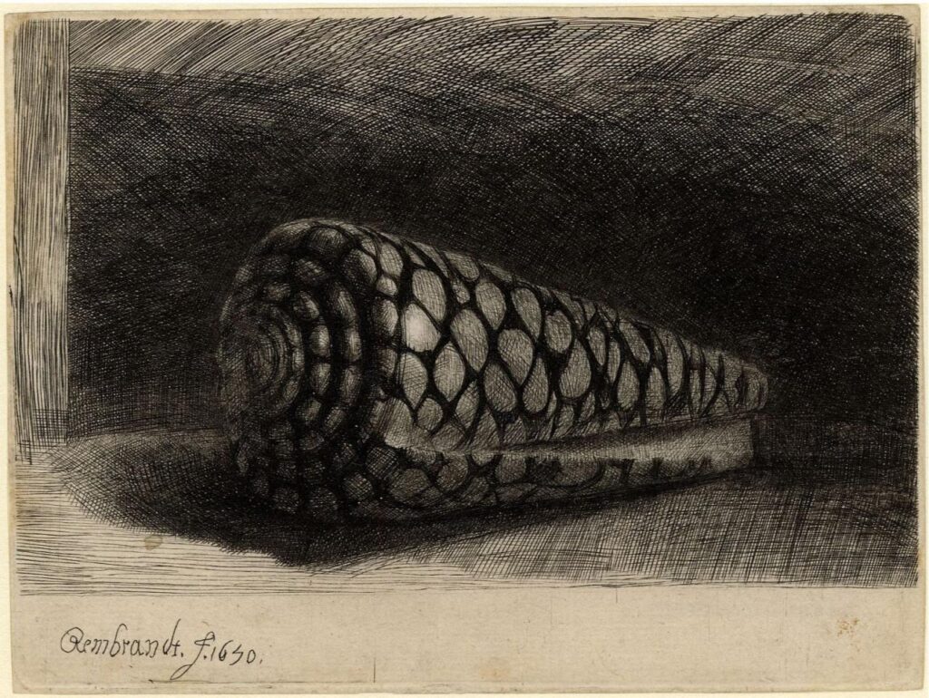 Meet the innovative printmaker, Rembrandt van Rijn - Yale University Press