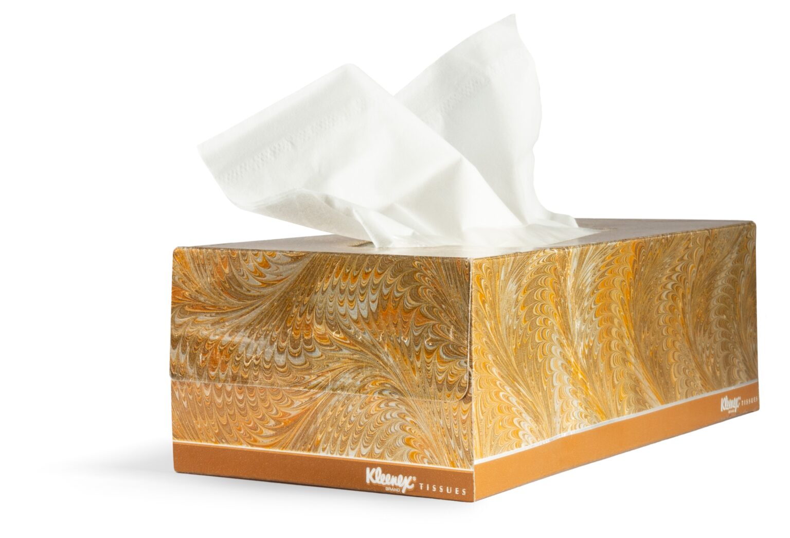 Documenting History: The Paper Legacy Project - Yale University Press