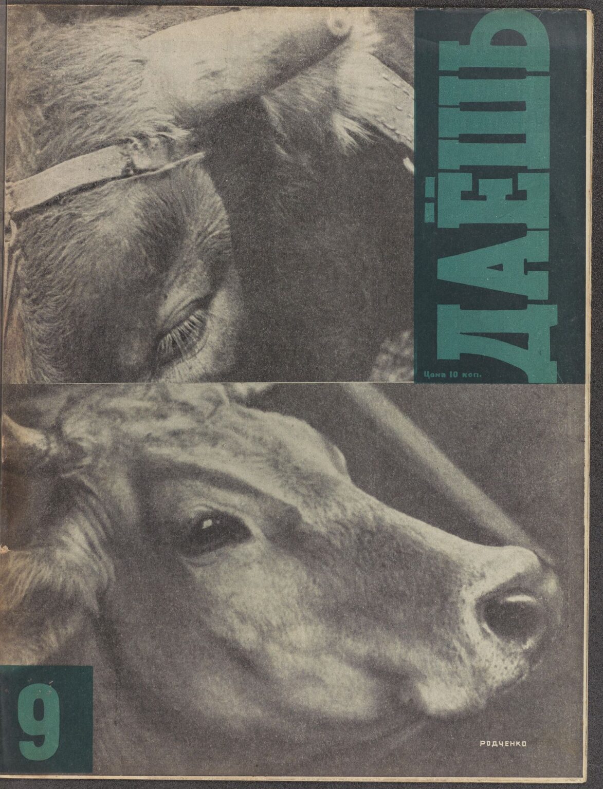 Aleksandr Rodchenko's “shadow oeuvre” - Yale University Press