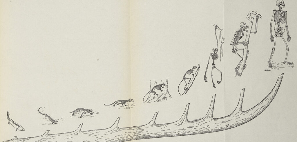 Helen Ziska: The Unknown Artist Who Kept the March of Progress Image ...