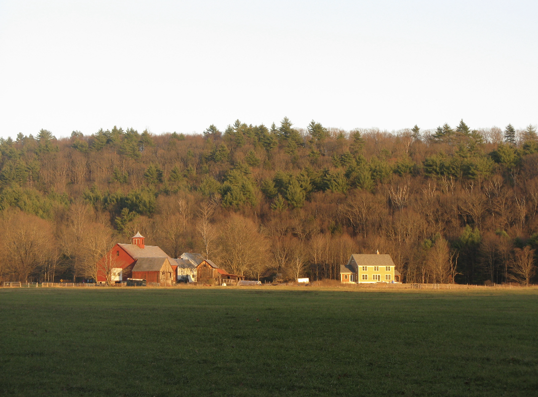 Having our Forest and Cutting it Too - Yale University Press